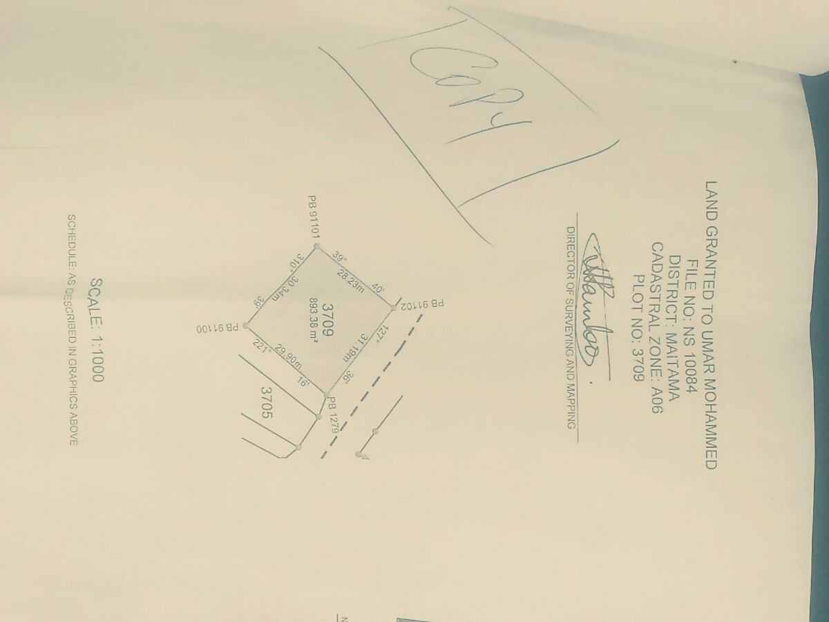 Understand Land Laws and Titles: All You Need To Know | Ownahome.ng